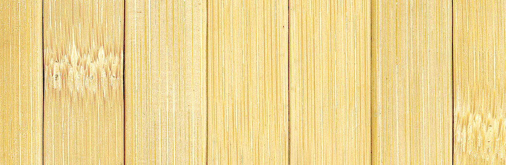 Alterna Corp. - About Smith & Fong Plyboo